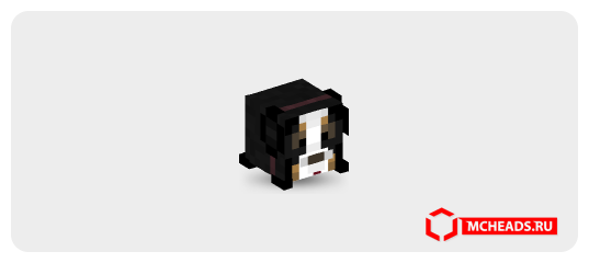 Bernese Mountain Dog — Minecraft head