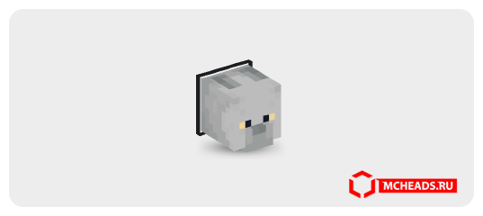 Collared British Shorthair Cat (black) — Minecraft head
