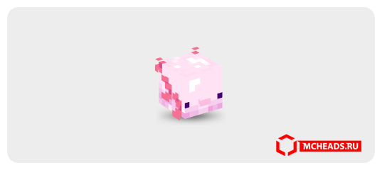 Axolotl — 53850 — Minecraft head