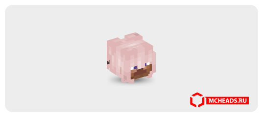 Steve with Wig — Minecraft head
