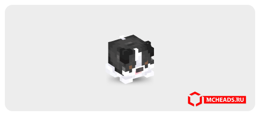 Border Collie (Black) — Minecraft head