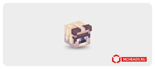 Grumpy Cat — 14585 — Minecraft head