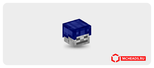 Skeleton with Leather Helmet (blue) — Minecraft head