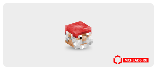 Santa Claus — 12071 — Minecraft head