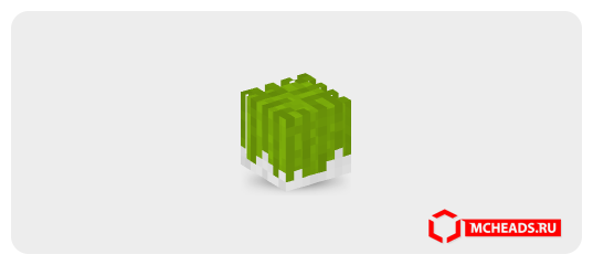 Green Onion — 47755 — Minecraft head