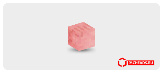 Pig (body) — Minecraft head