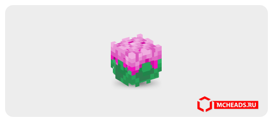 Lotus Flower — 22264 — Minecraft head