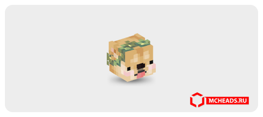 Doge — 31567 — Minecraft head
