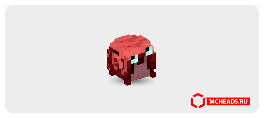 Snail (Red) — 64823 — Minecraft head