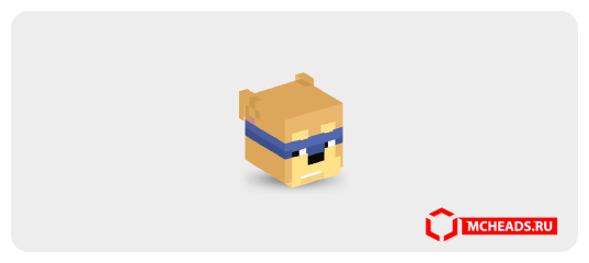 Swiper — Minecraft head