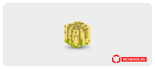 Wheat — Minecraft head