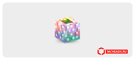 Rainbow Raspberry — Minecraft head