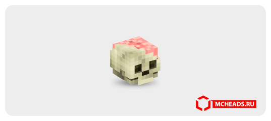 Skull — 2308 — Minecraft head
