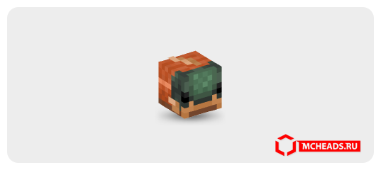 Salmon (cooked) — Minecraft head
