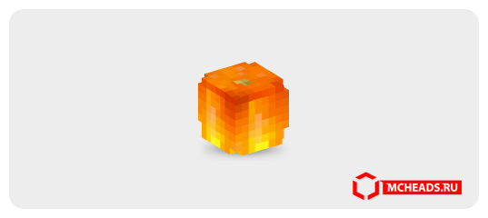 Tropical Fruit — 44936 — Minecraft head