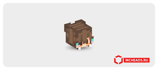 Tracer — Minecraft head