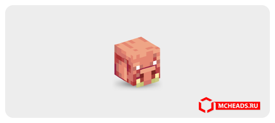 Piglin — 57195 — Minecraft head