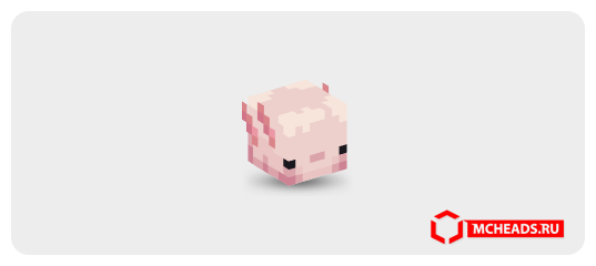 Axolotl — 45652 — Minecraft head
