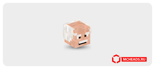 Man — 12603 — Minecraft head
