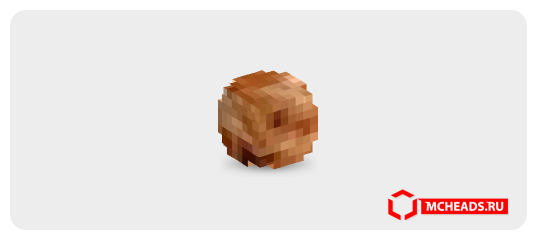 Venus — 565 — Minecraft head
