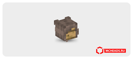 Wig (brown) — Minecraft head