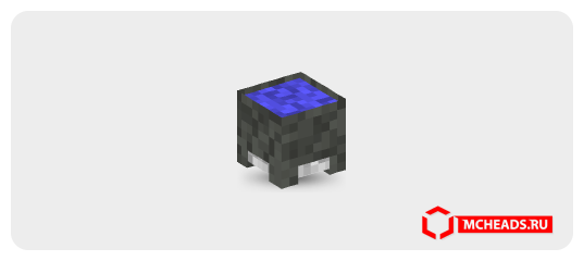 Cauldron with Water — 11497 — Minecraft head