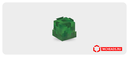 Broccoli — 19675 — Minecraft head