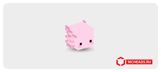 Axolotl — 58007 — Minecraft head