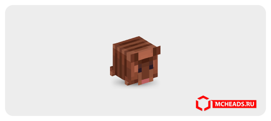 Armadillo — 66756 — Minecraft head