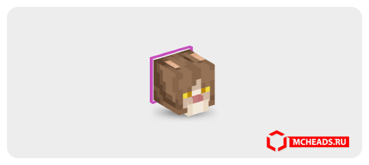 Collared Tabby Cat (magenta) — Minecraft head