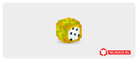 Dragon Fruit (sliced) — Minecraft head