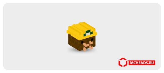 Mole Miner — 87937 — Minecraft head