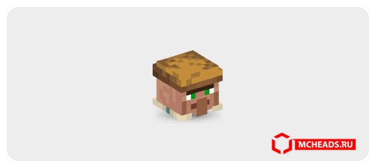 Fisherman Villager — 32884 — Minecraft head