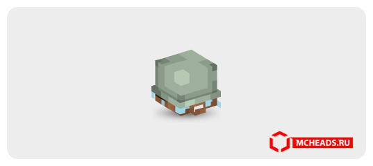 Bucket Head Steve — Minecraft head