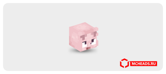 Bingus — Minecraft head