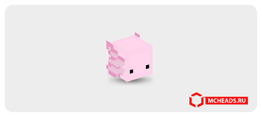 Axolotl — 89352 — Minecraft head
