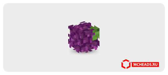 Grapes — 11 — Minecraft head