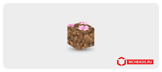 Petals on Dirt — Minecraft head