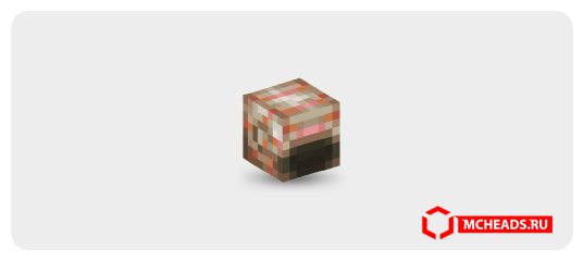 Striped Nautilus Shell — Minecraft head