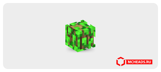 Bush — 25833 — Minecraft head
