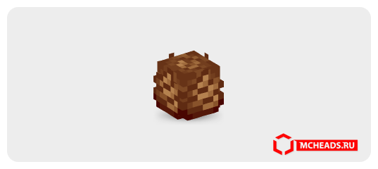 Poop — Minecraft head
