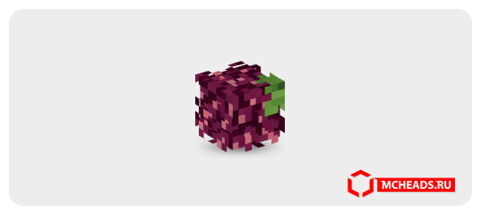Grapes — 9 — Minecraft head