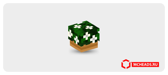 Potted Camellia Plant — Minecraft head