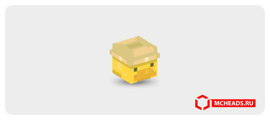 Duck — Minecraft head