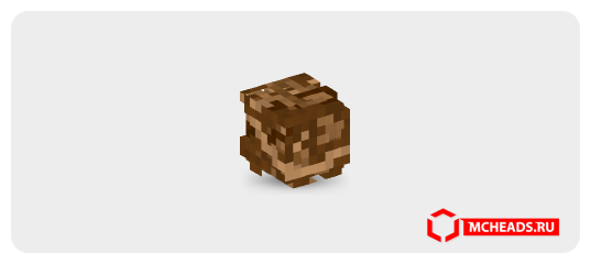 Tumbleweed — 23054 — Minecraft head