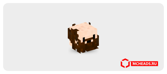 Beggar — 2313 — Minecraft head