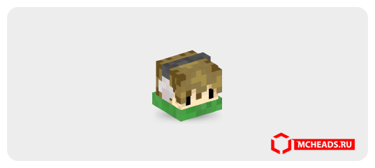 Grian — 25047 — Minecraft head