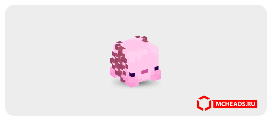 Axolotl — 49490 — Minecraft head