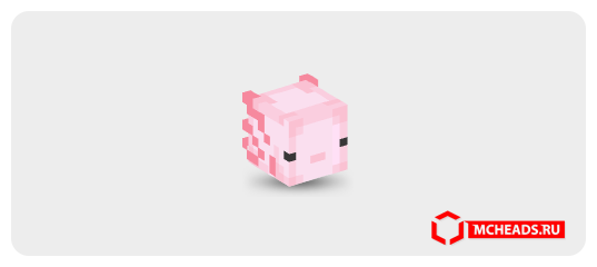 Axolotl — 89353 — Minecraft head