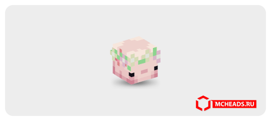 Axolotl — 43850 — Minecraft head